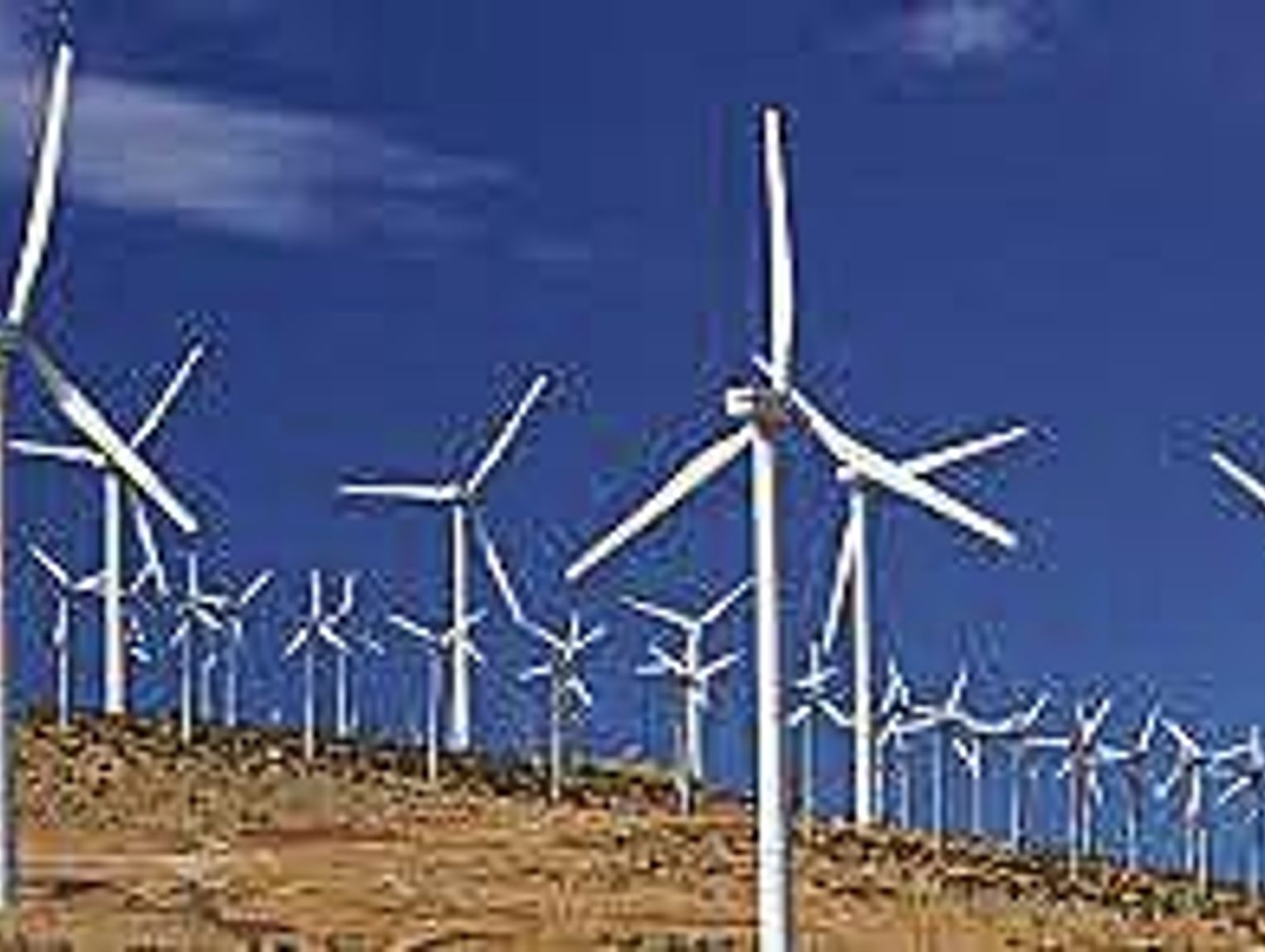 Social media generates energy against wind farm